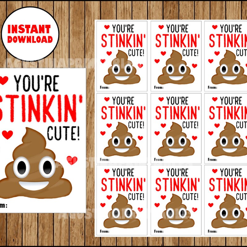 Valentines Card Poop - Etsy