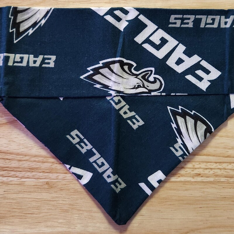 Philadelphia Eagles Scarf - Etsy