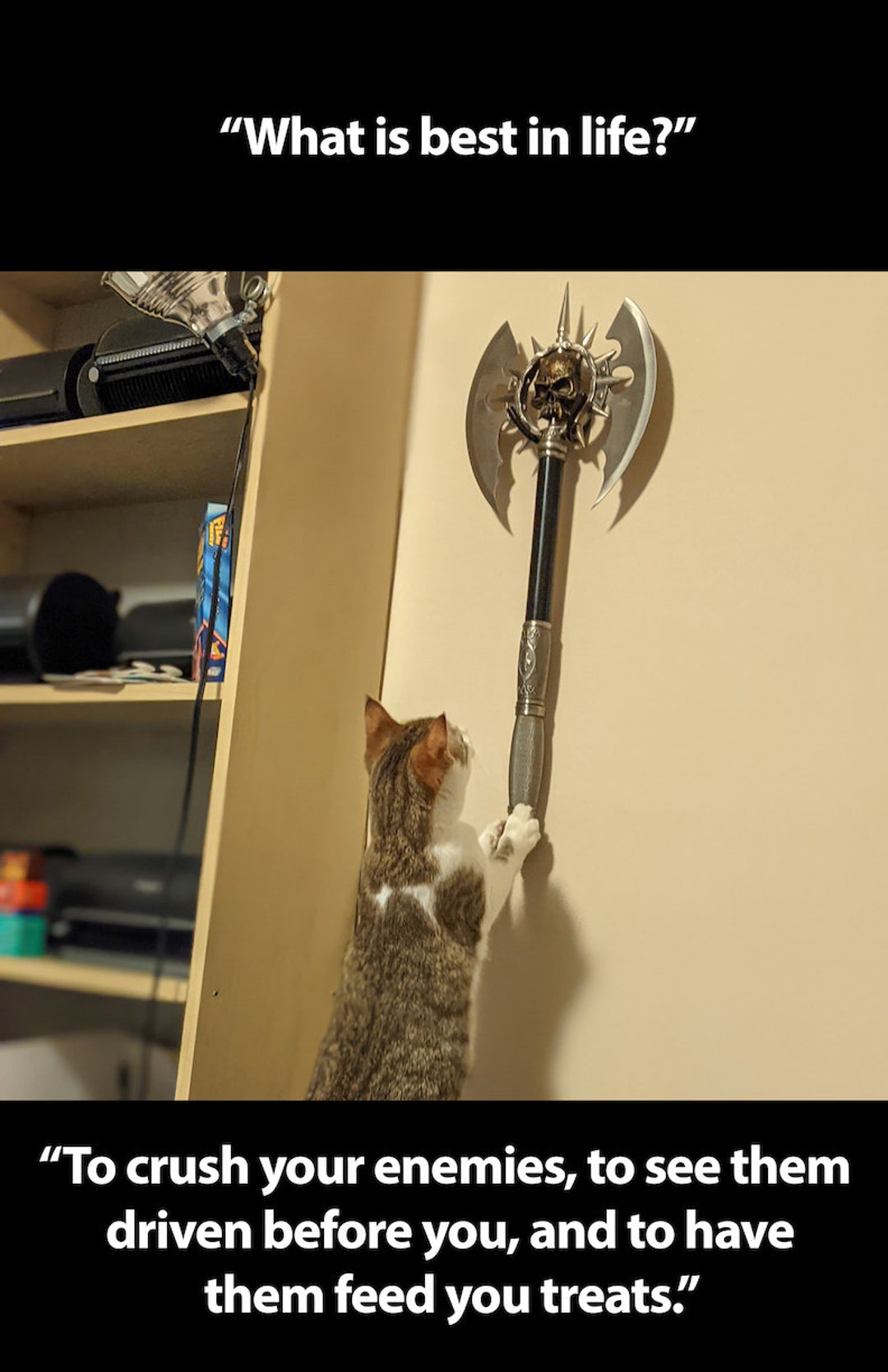 Mrs. Cake, Noted Feline Barbarian Print - Etsy