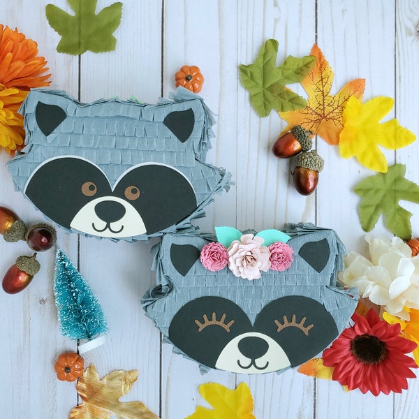 Raccoon Theme Birthday Party - Etsy