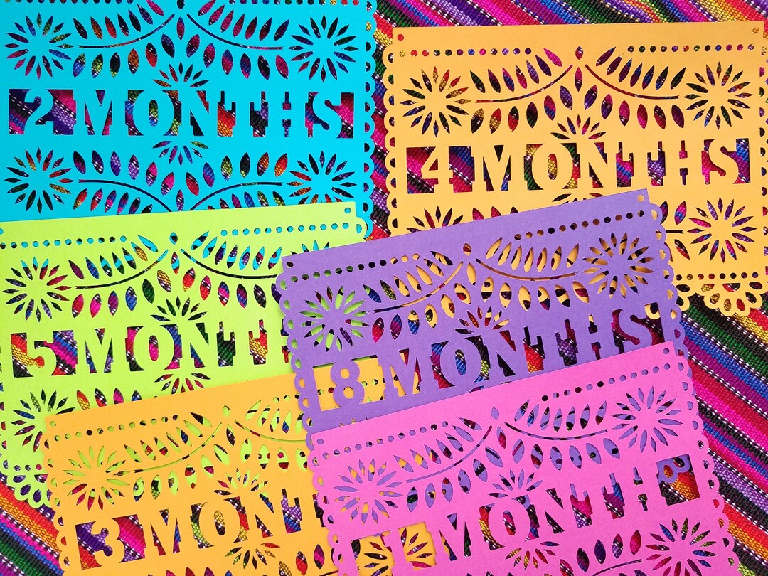 Papel Picado 12 Month Banner, First Fiesta Banner, Mexican Fiesta ...