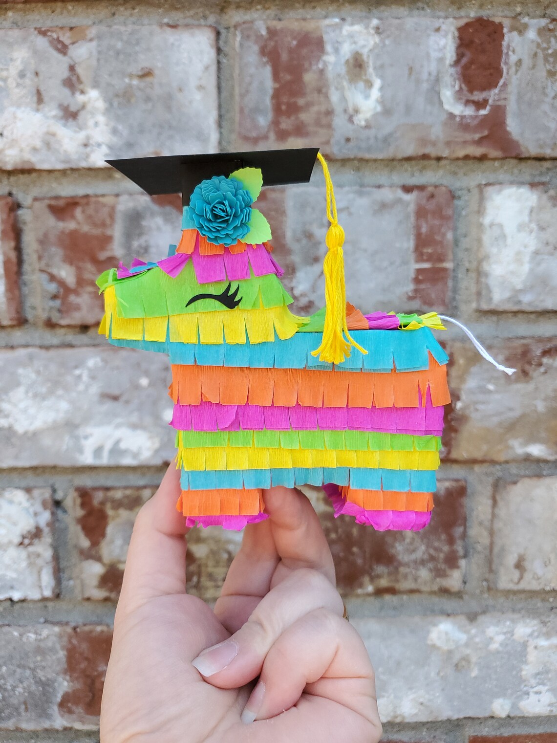 6 Graduation Mini Donkey Party Favor Fiesta Theme - Etsy