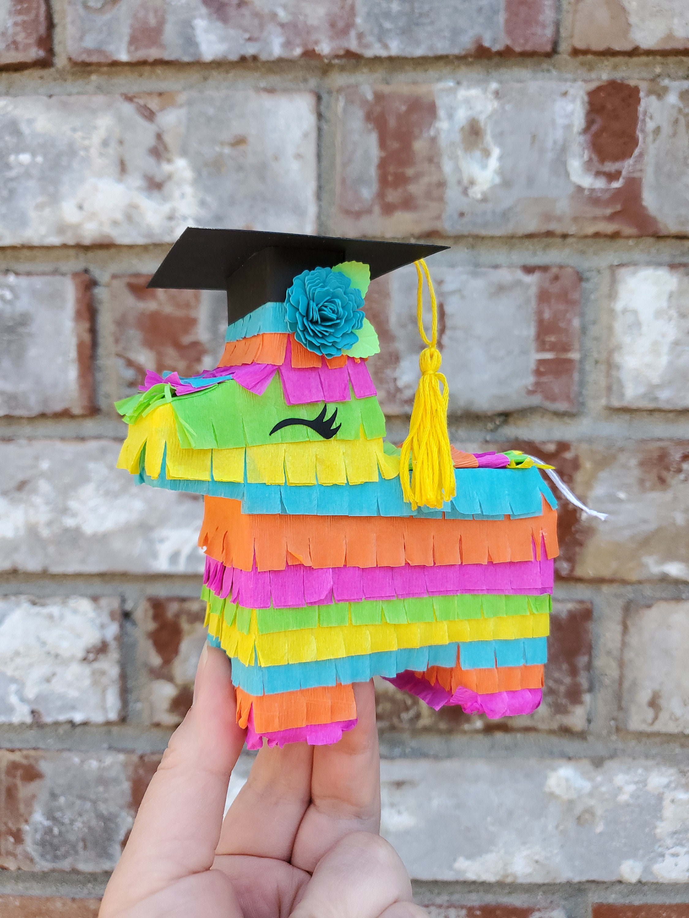 6 Graduation Mini Donkey Party Favor Fiesta Theme - Etsy