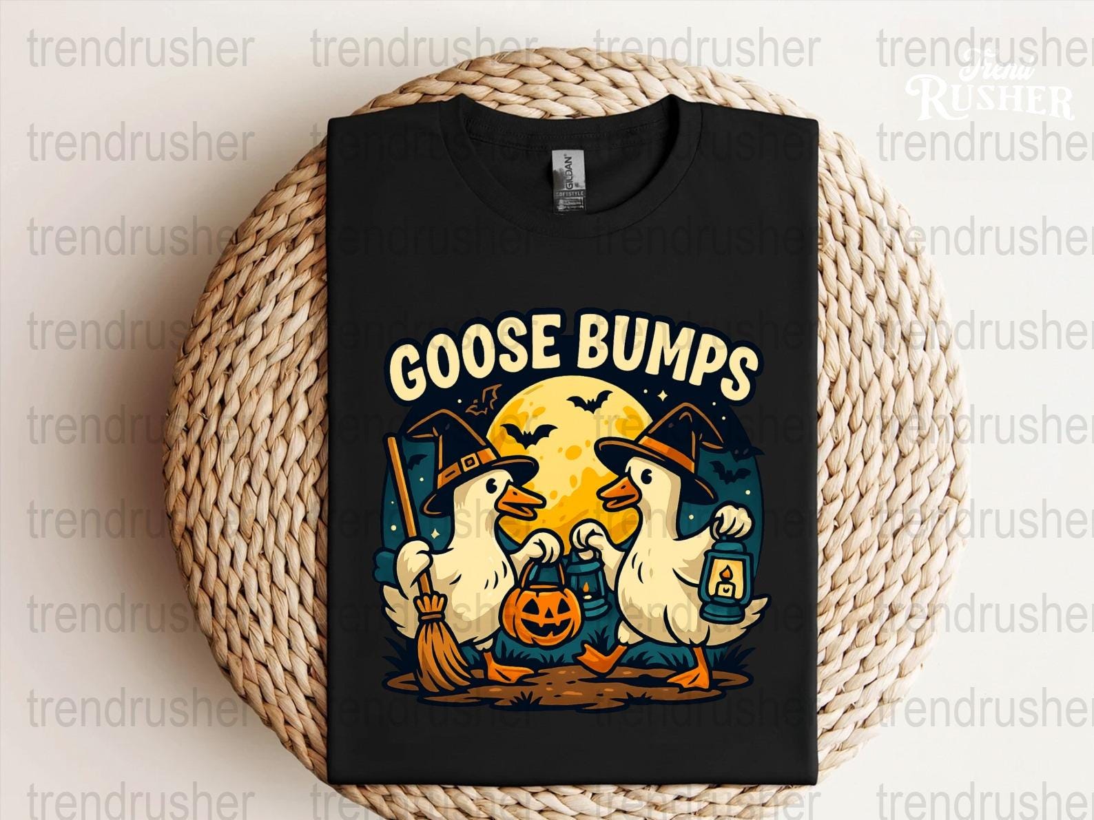 Goose Bumps Png Cute Geese in Halloween Costumes Funny Witch Hat Spooky ...