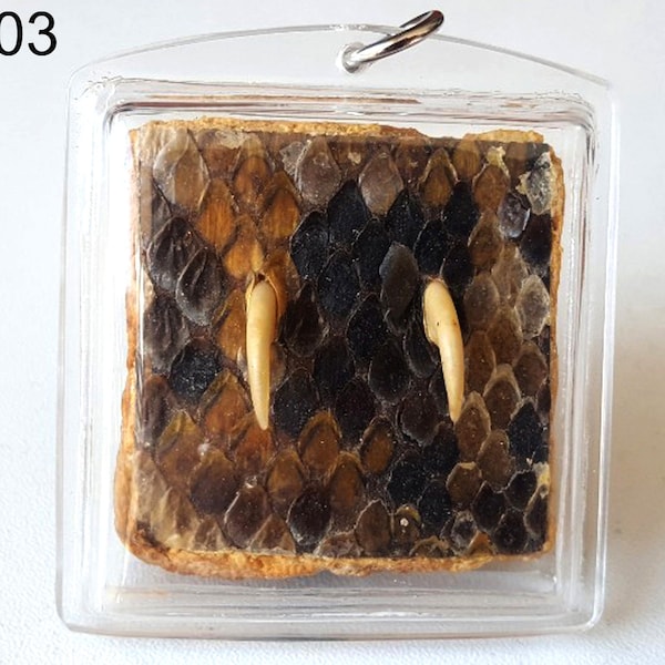 Snake Fangs - Etsy