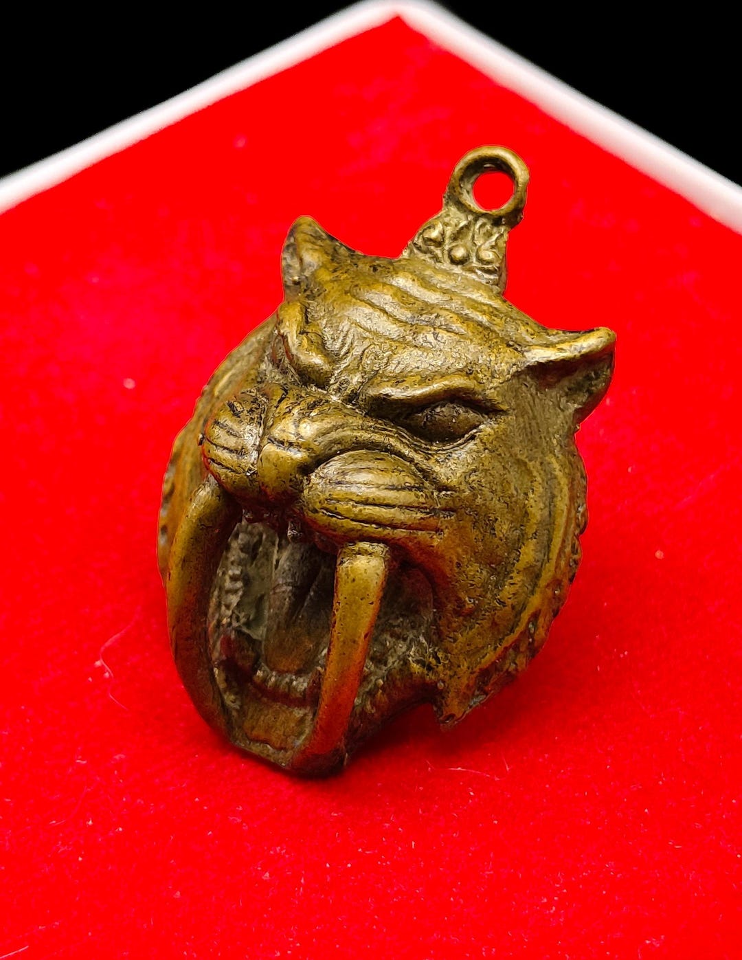 Suea Khap Dap Tiger Face Phra Achan Chu Wat Thap Chumphon Charm Protect ...
