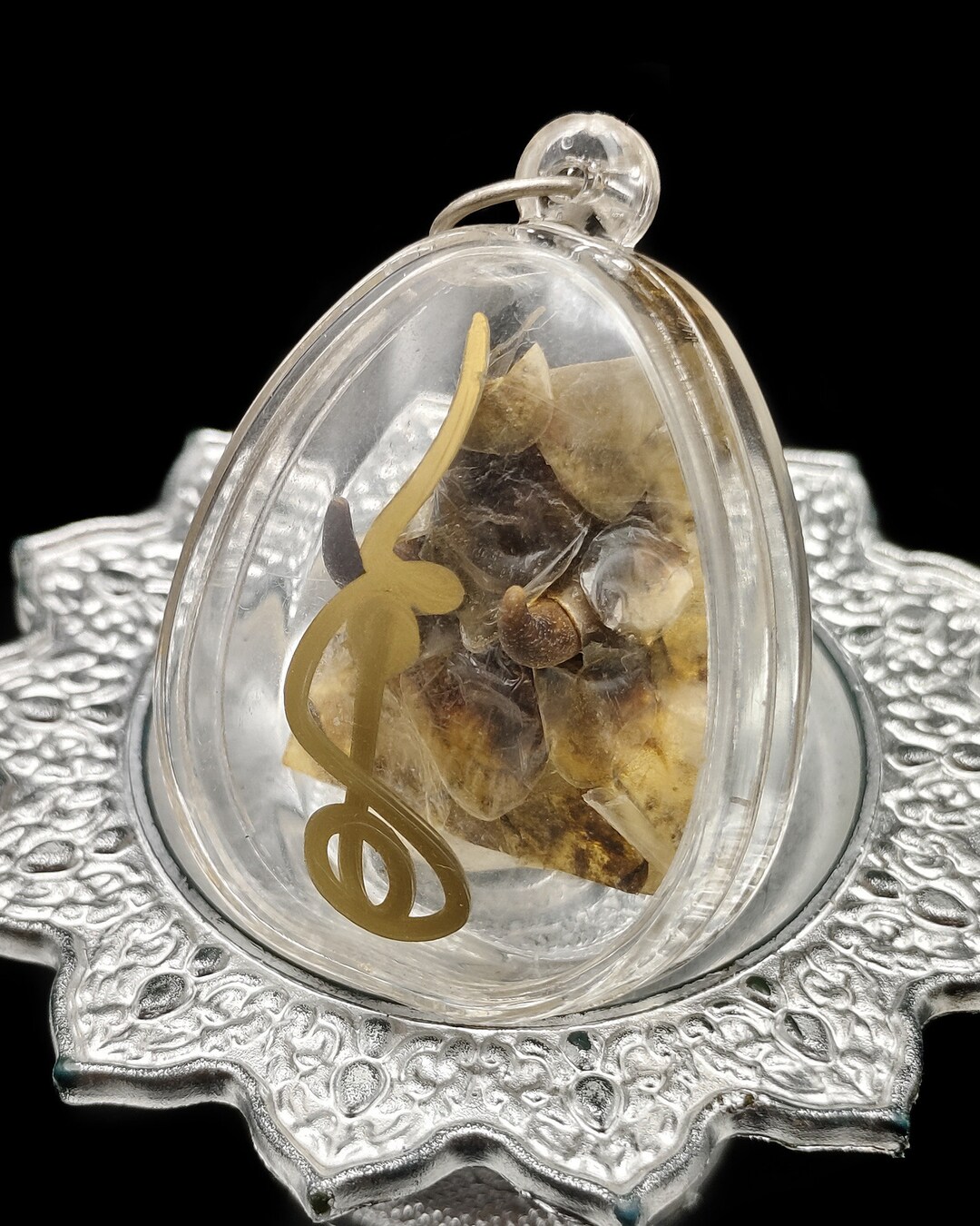 Cased Python Snake Fang Skin LP Goy Talisman Protect Thai Buddha Amulet ...