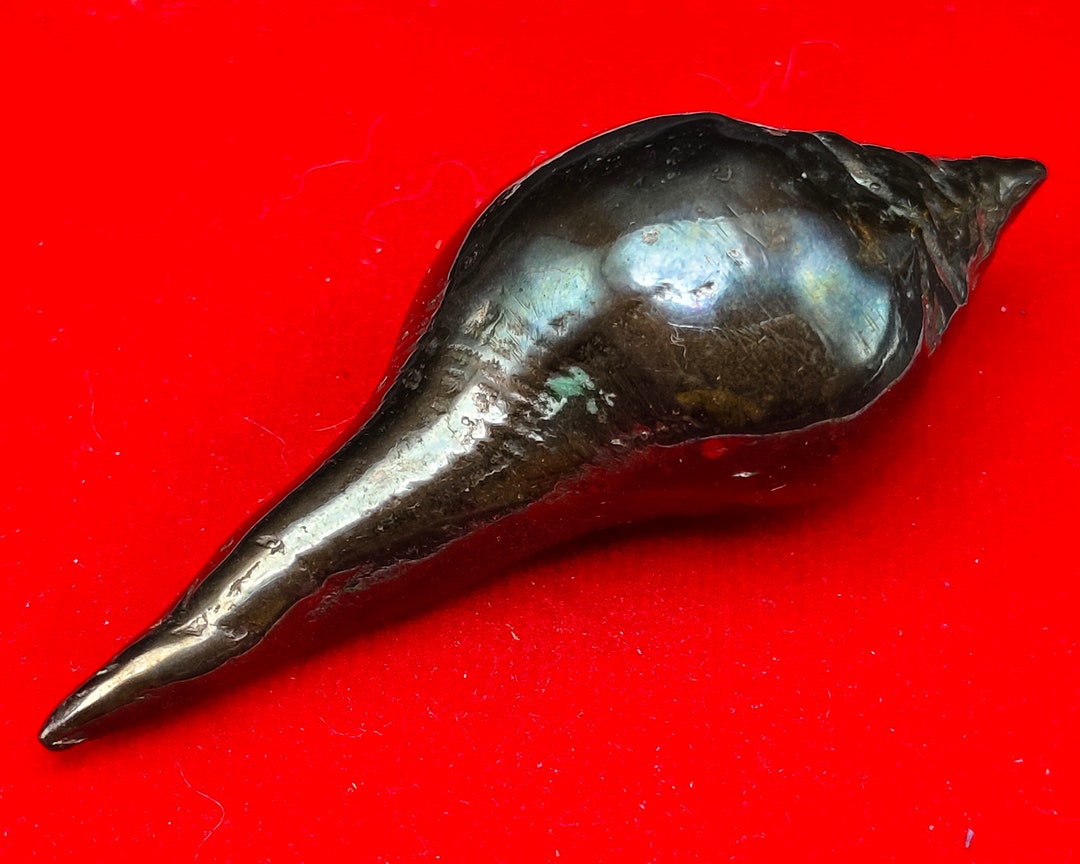 Conch Shell Leklai Sang Mongkol Meksit Magic Holy Stone Charm Protect ...