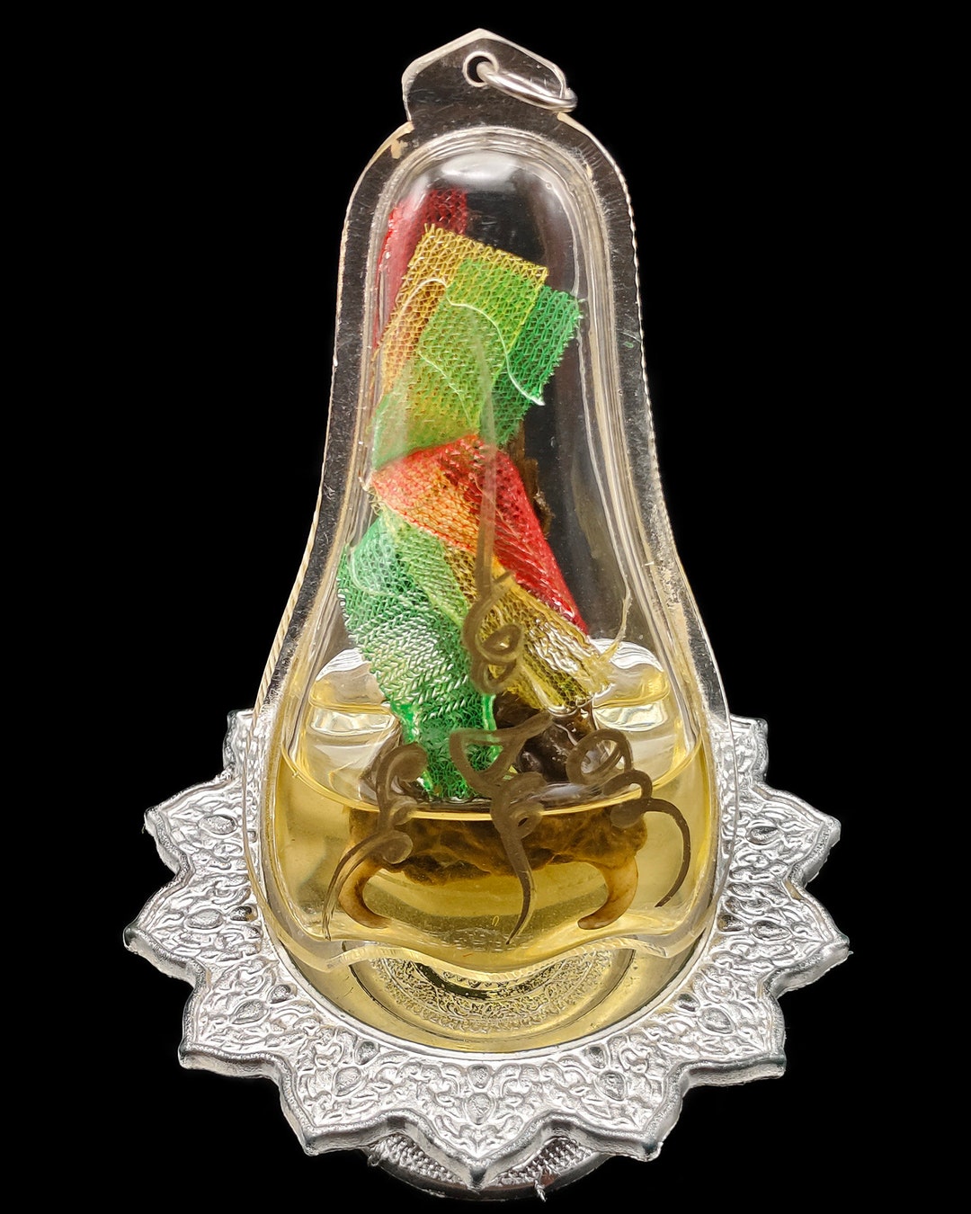 Cased Python Snake Fang Skin LP Goy Talisman Protect Thai Buddha Amulet ...