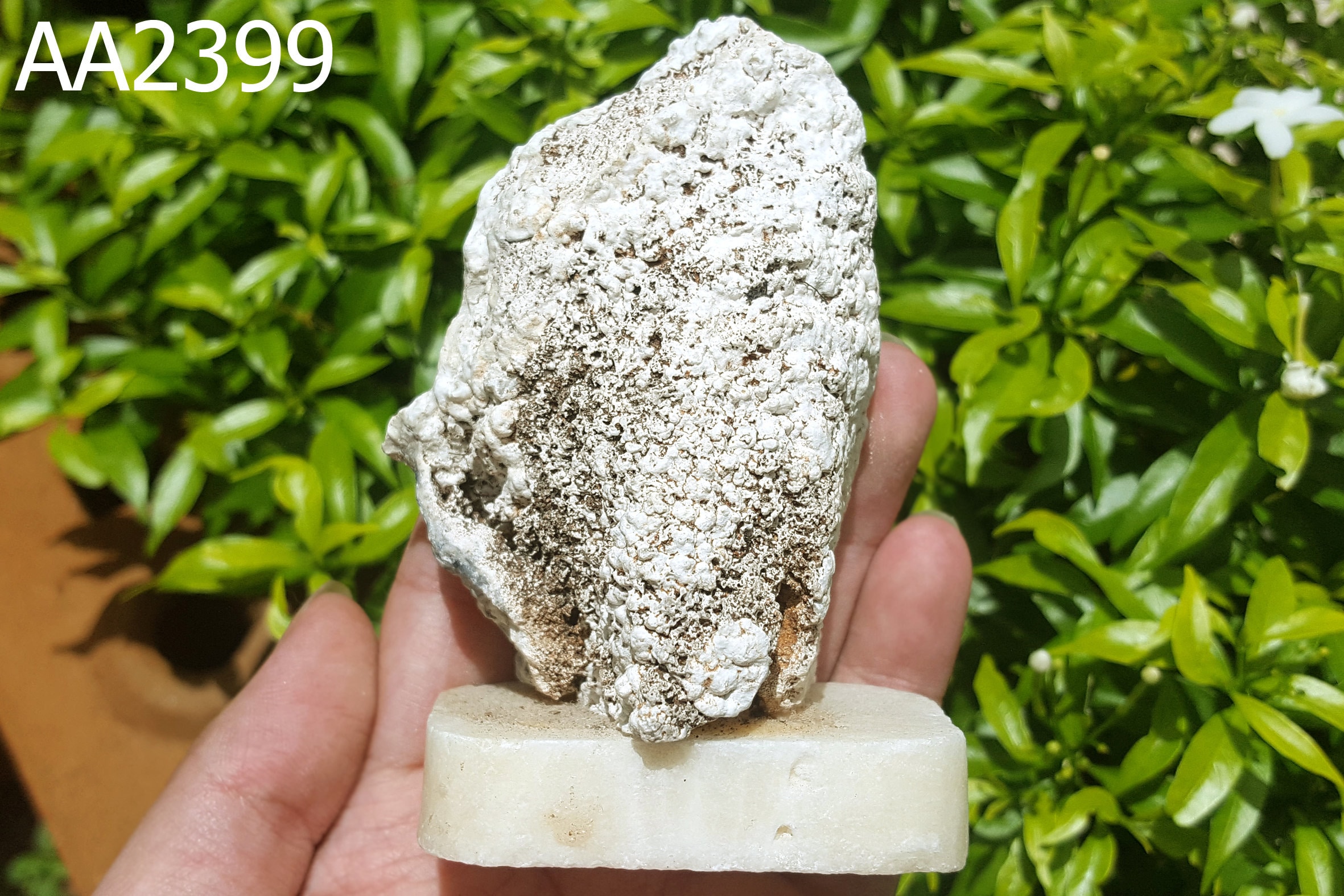 Holy Natural Relics Stone Phra Tad Sam Roi Yod Thai Buddha - Etsy UK