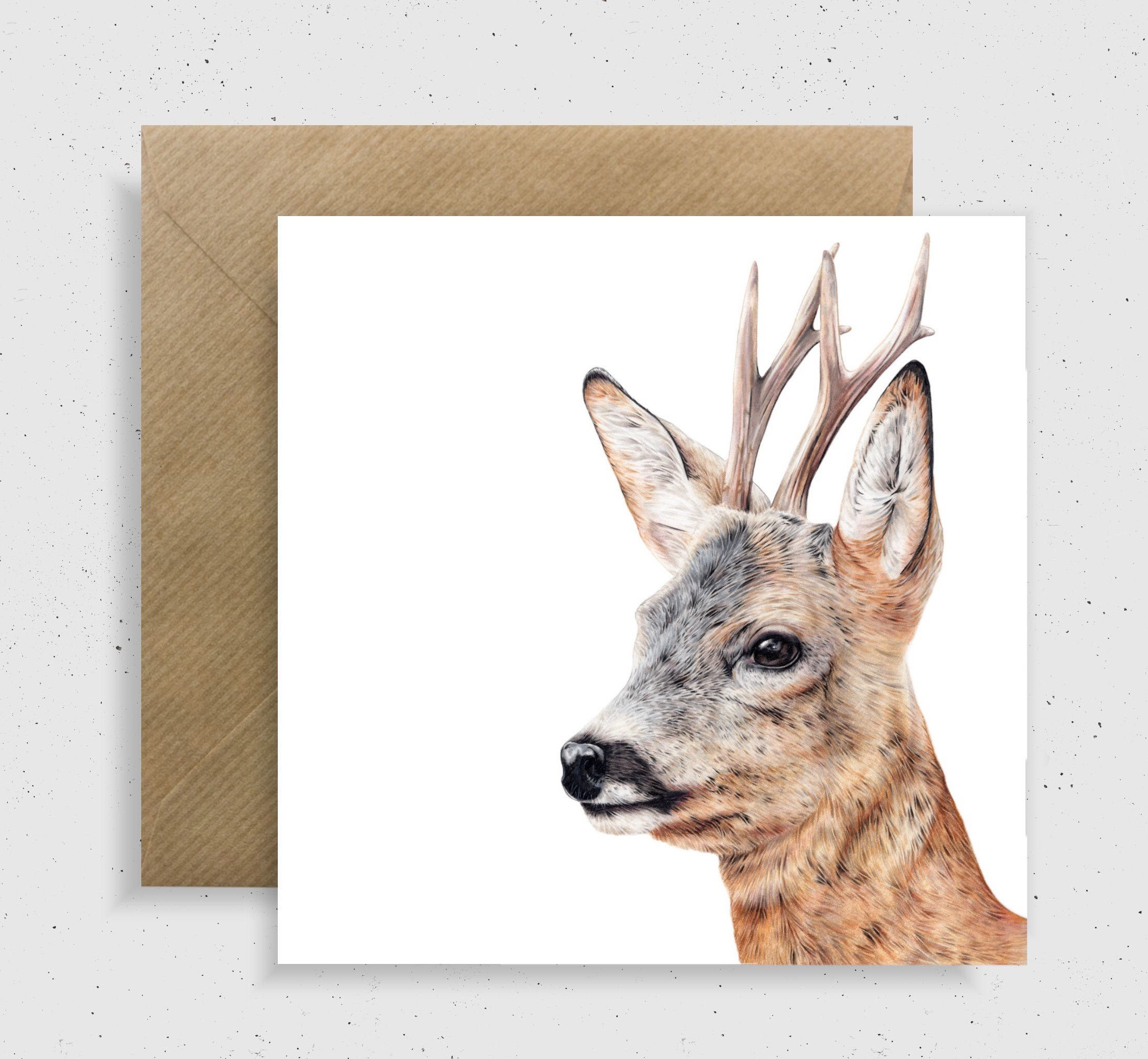 Deer Birthday Card, Roe Buck, Roe Deer Card Birthday Card, Wildlife Art ...