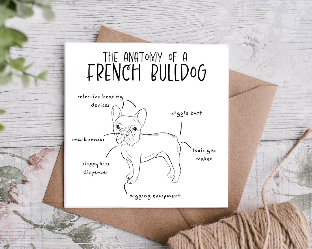 Funny French Bulldog Birthday Card, Anatomy of a French Bulldog ...