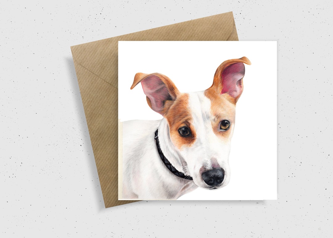 Jack Russell Card, Jack Russell Terrier Birthday Gift Ideas, Jack ...