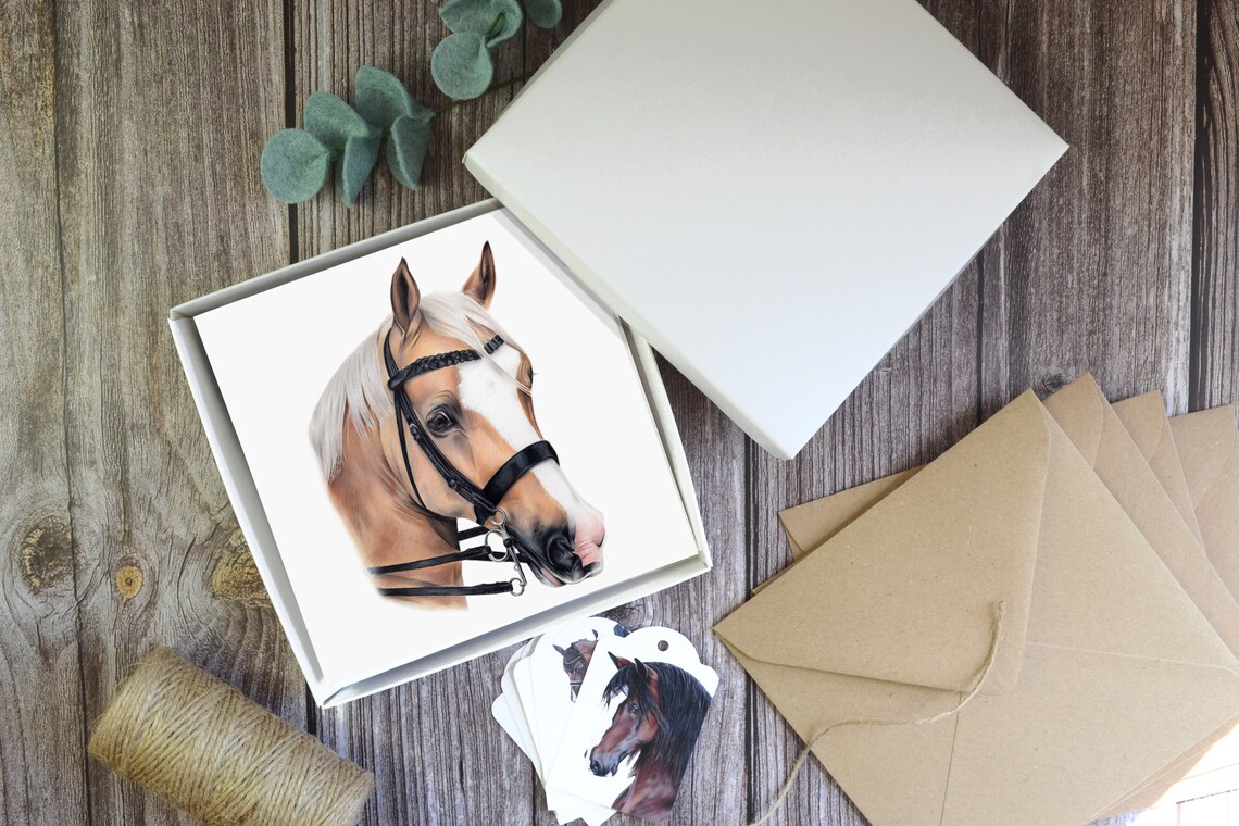 Horse Greetings Card Bundle & Matching Gift Tags, Equine Birthday Cards ...