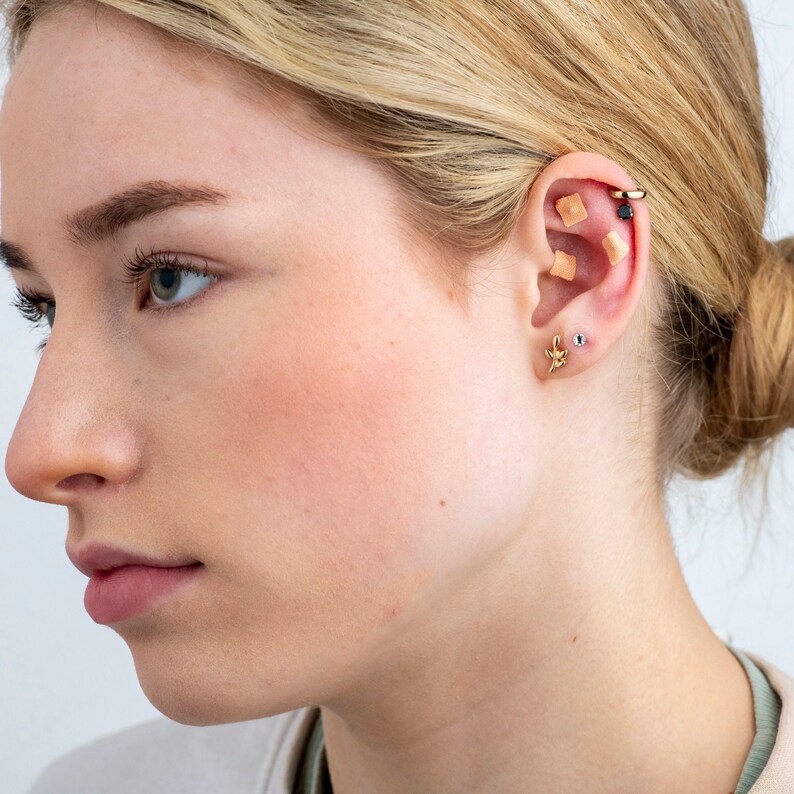 60 Natural Ear Seeds And Placement Chart For Sleep Insomnia Etsy