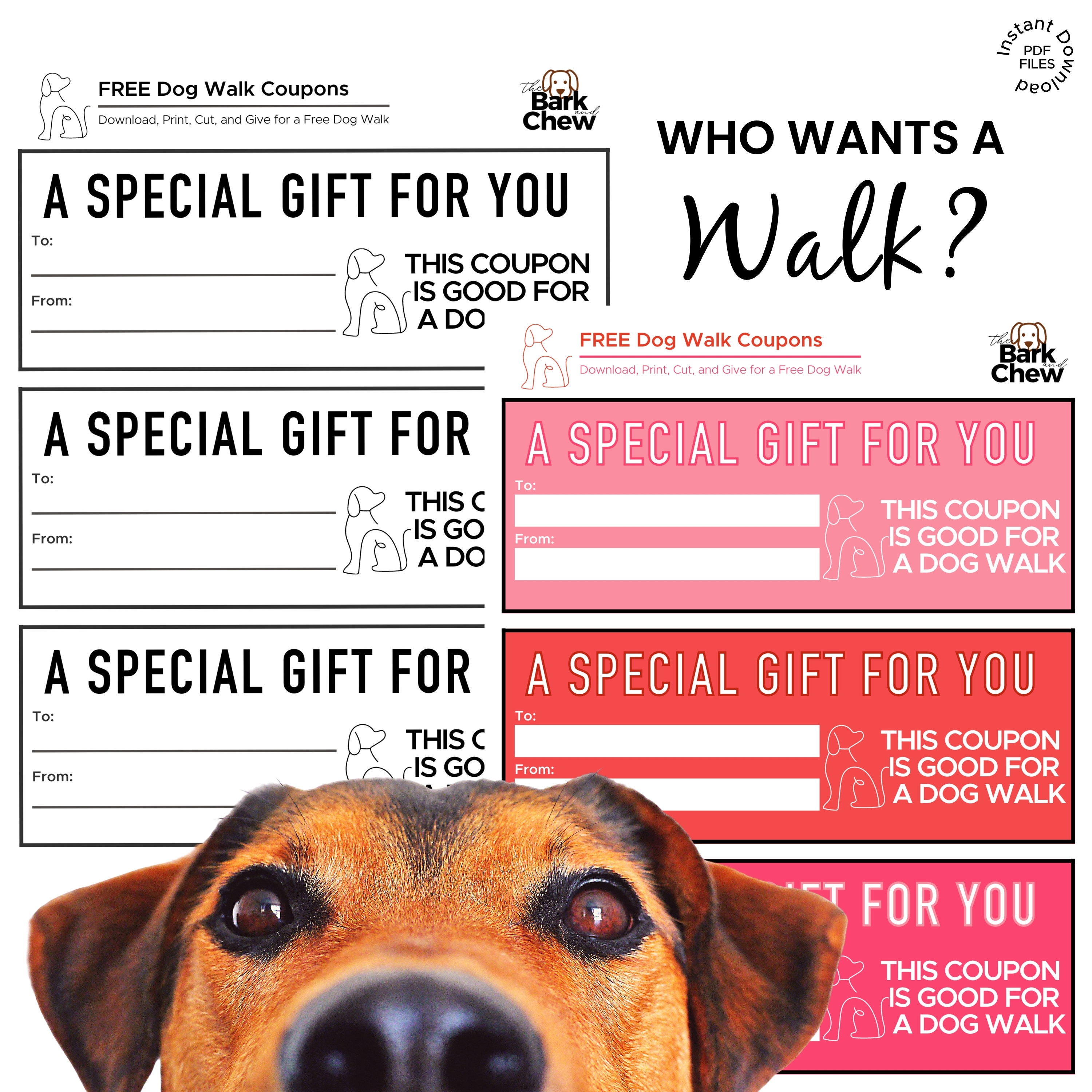 Cupón de paseo para perros / Cupón de paseo gratis / Cupón de - Etsy España