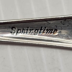 International 1847 Rogers Bros Springtime Silver Flatware Set, 1957 ...