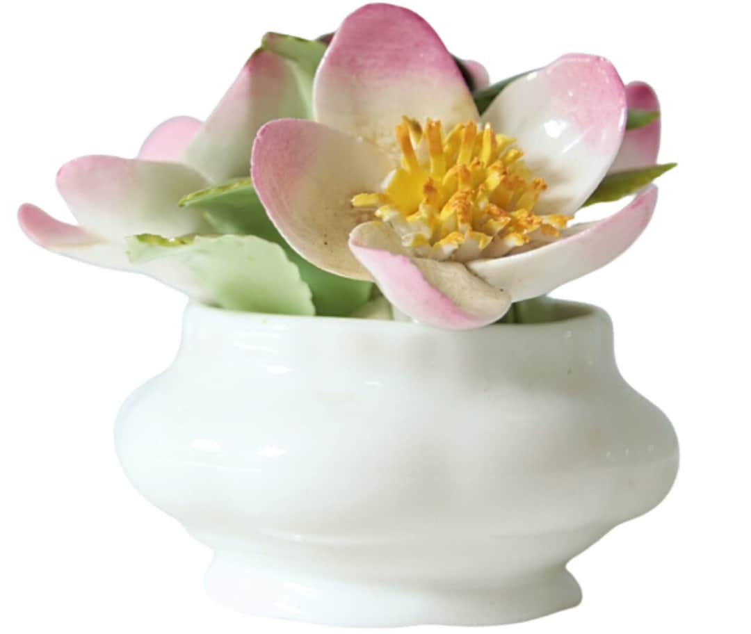 Royal Albert 'flower of the Month' Series December Christmas Rose ...