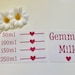 Personalised Milk Vinyl Decal STICKER ONLY Slimming World Weight ...