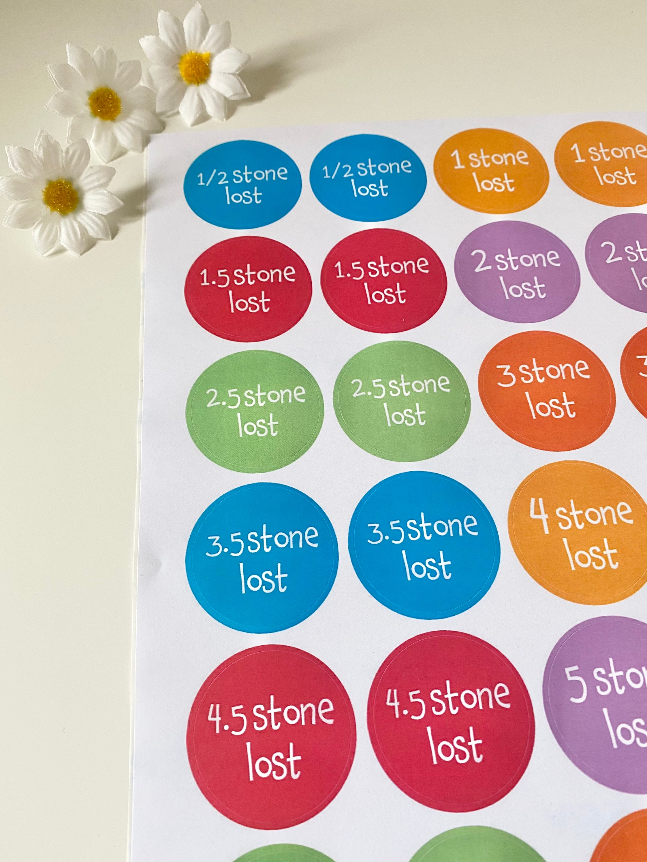 Lbs & stones lost stickers x24 4cm Weight loss Stickers | Etsy