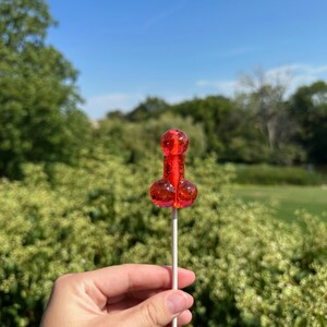 Set of 12 Penis/dick Lollipops/suckers for Bachelorette Party. - Etsy