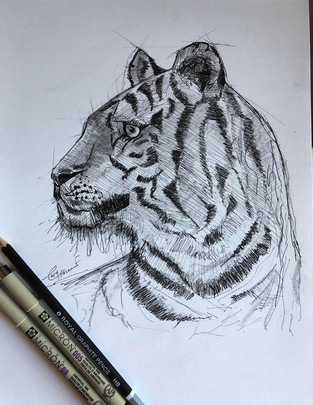 Tiger - Sketch on 9x12 Inch Sketch Paper - Etsy