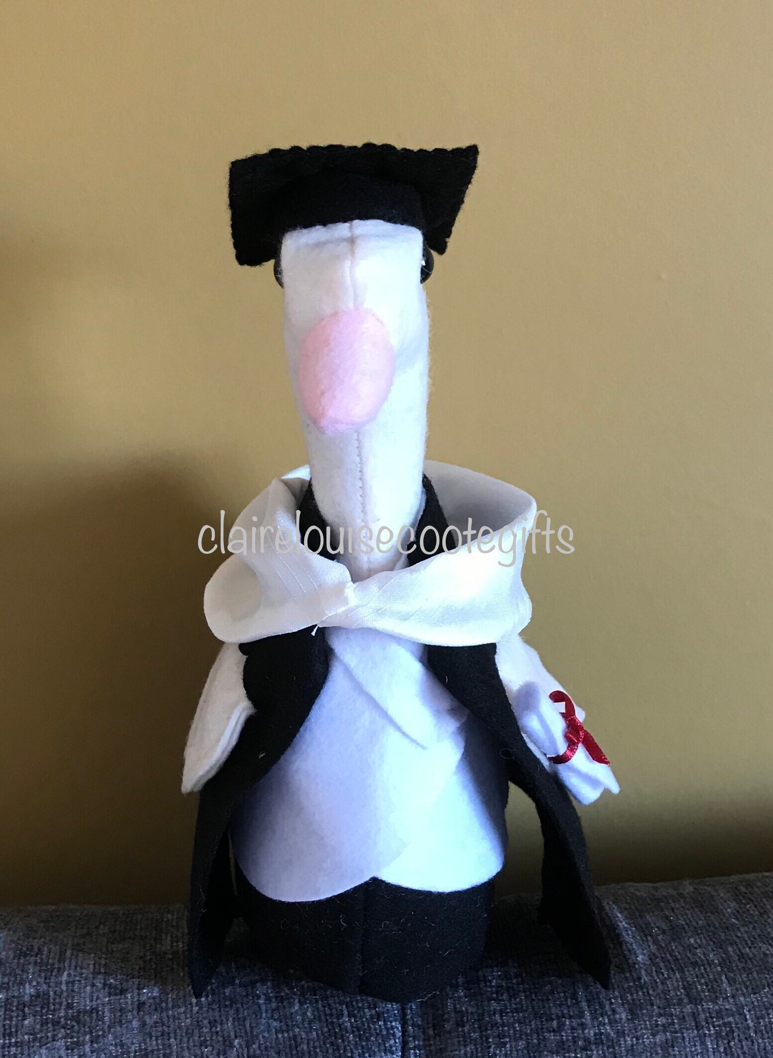 Graduation Goose University Degree Keepsake Gift - Etsy UK