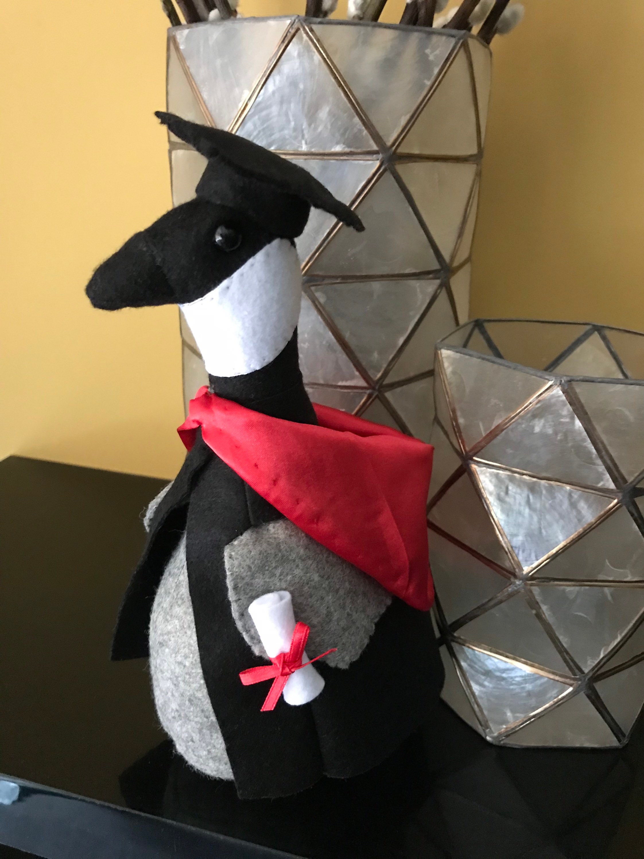 Graduation Goose University Degree Keepsake Gift - Etsy UK