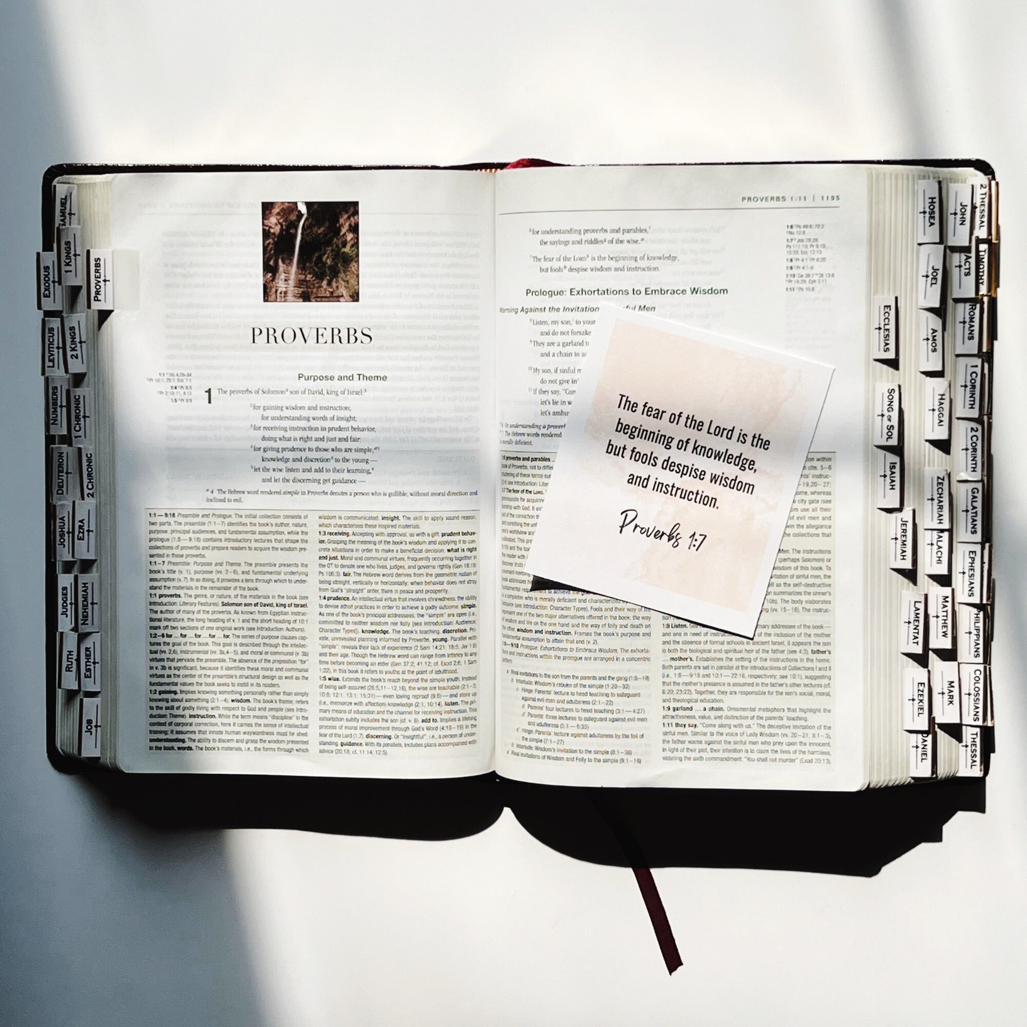 Bible Verse Memory Cards Scripture Cards Printable Proverbs Wisdom ...