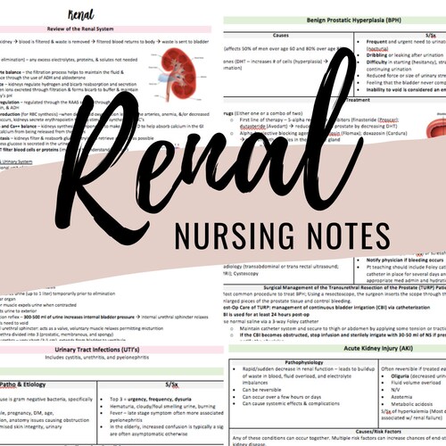 Renal/urinary System & Diseases Nursing Study Guides Nursing - Etsy