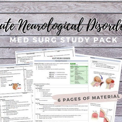 Neurological Bundle Neuro Bundle Notes Med Surg Notes - Etsy