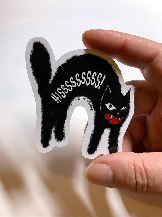 Black Cat Hiss
