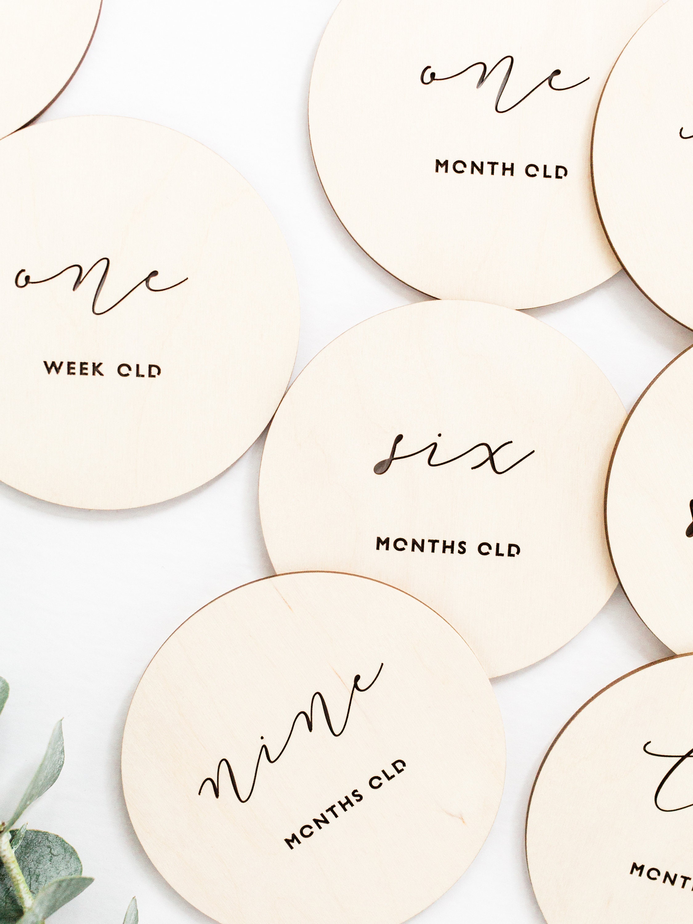 Laser Cut Baby Monthly Milestone Plaques Set of 14 Wooden - Etsy