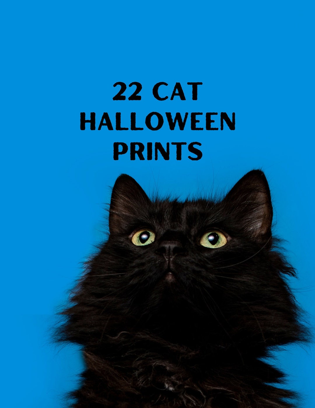 Printable Halloween Black Cat Themed Wall Prints-digital DOWNLOAD - Etsy