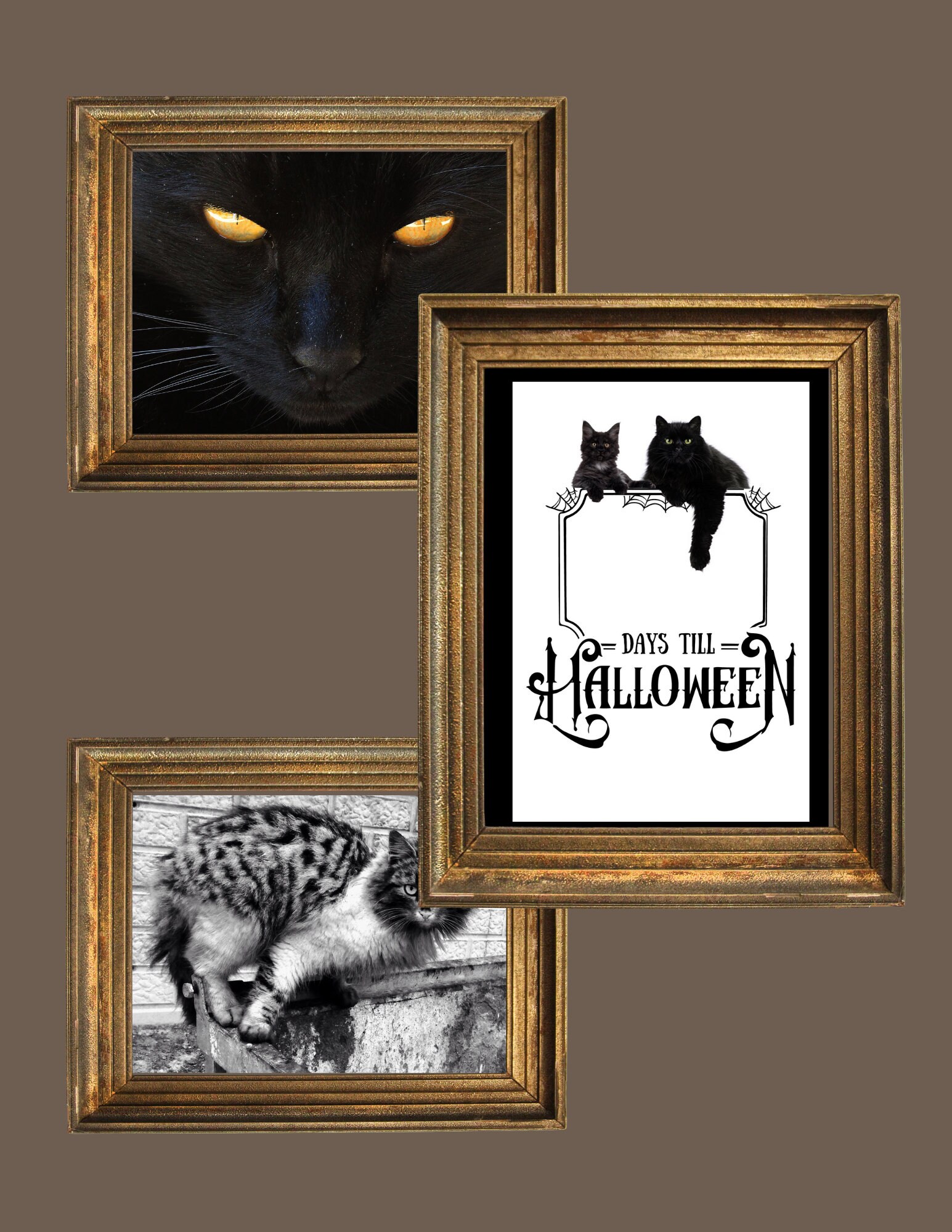Printable Halloween Black Cat Themed Wall Prints-digital DOWNLOAD - Etsy