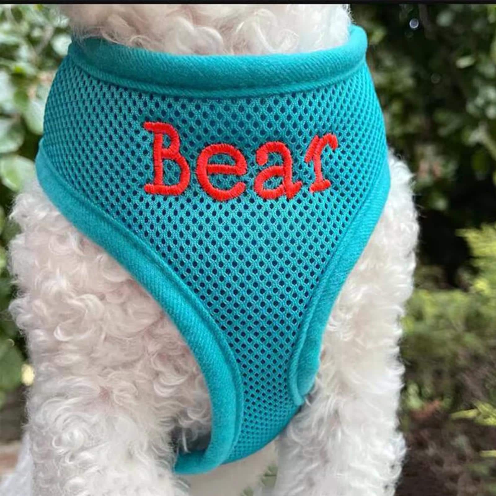 Personalized Pet Harness Custom Name Cat Harness Dog Name Collars ...