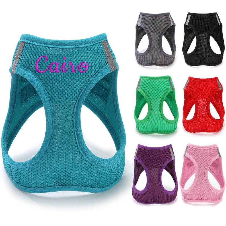 Personalized Pet Harness Custom Name Cat Harness Dog Name Collars ...