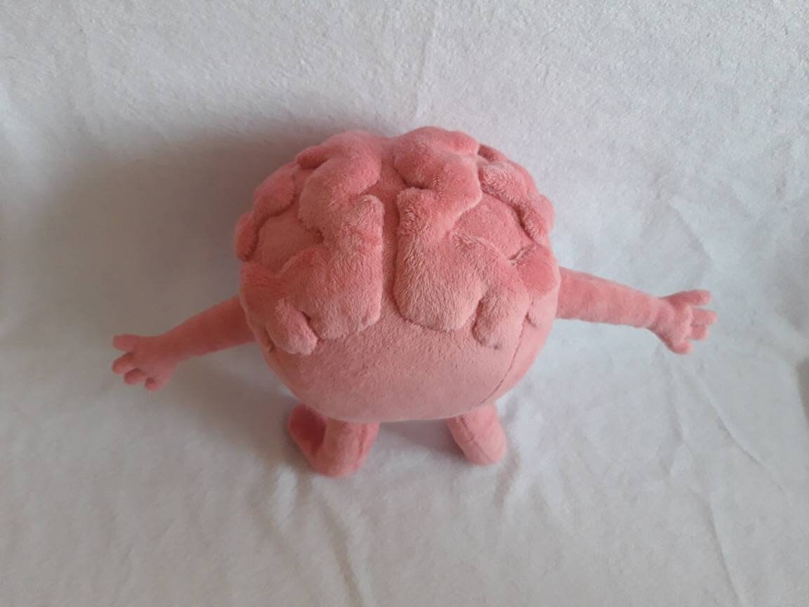 Custom Plush Toy. Brain Plush - Etsy