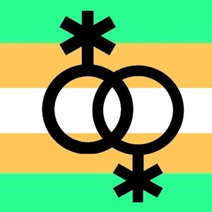 Enbian/trixic/toric Pride Kandi Star Border Bracelets - Etsy