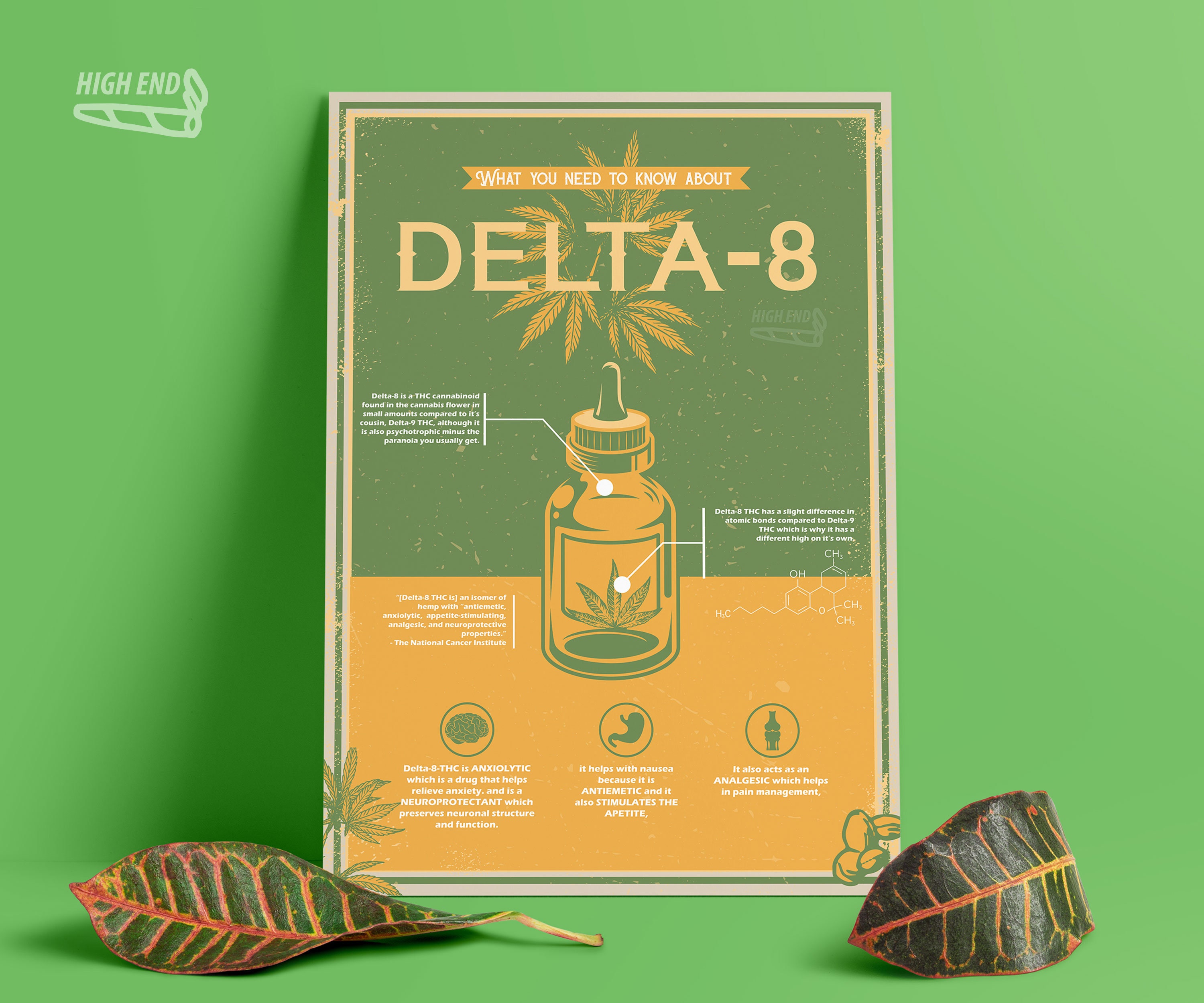 Weed Infographics Educational Poster, Delta 8 Bottle Tincture Labeled ...