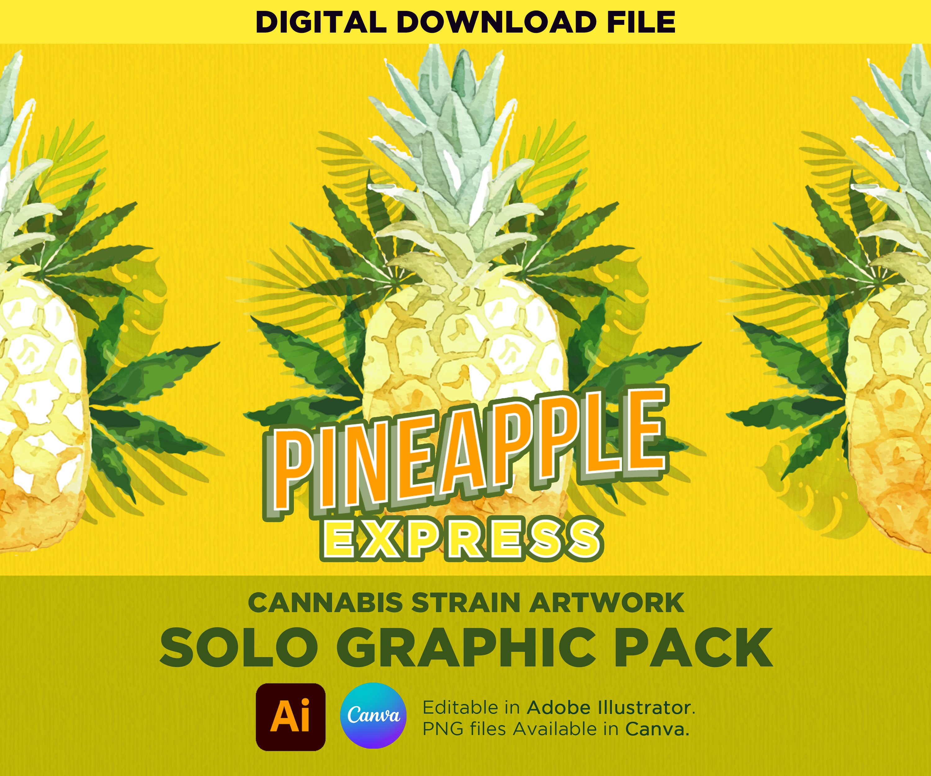 Pineapple Express Saul Bfff