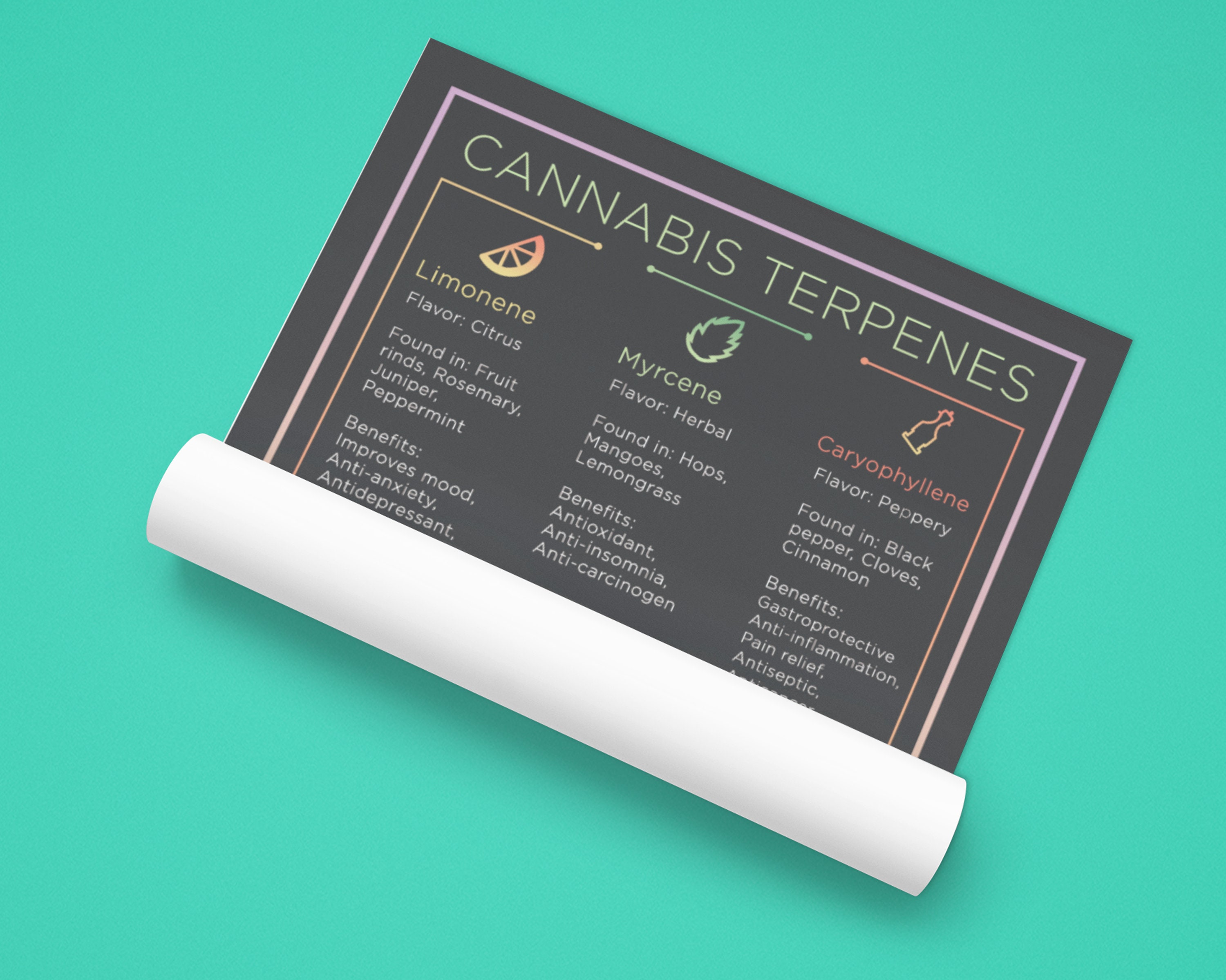 Ready to Print Downloadable Cannabis Terpenes Infographic Poster Neon ...