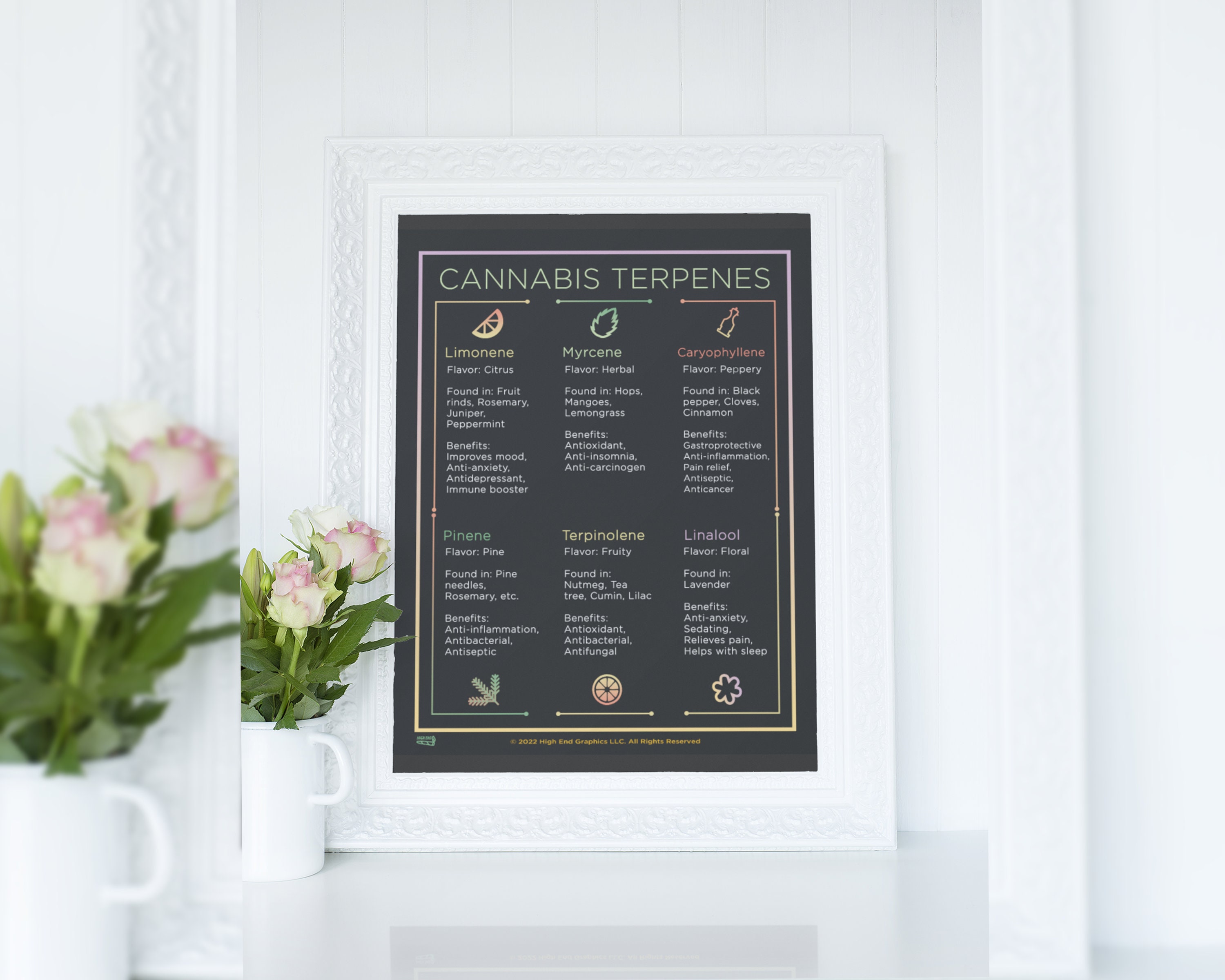 Ready to Print Downloadable Cannabis Terpenes Infographic Poster Neon ...