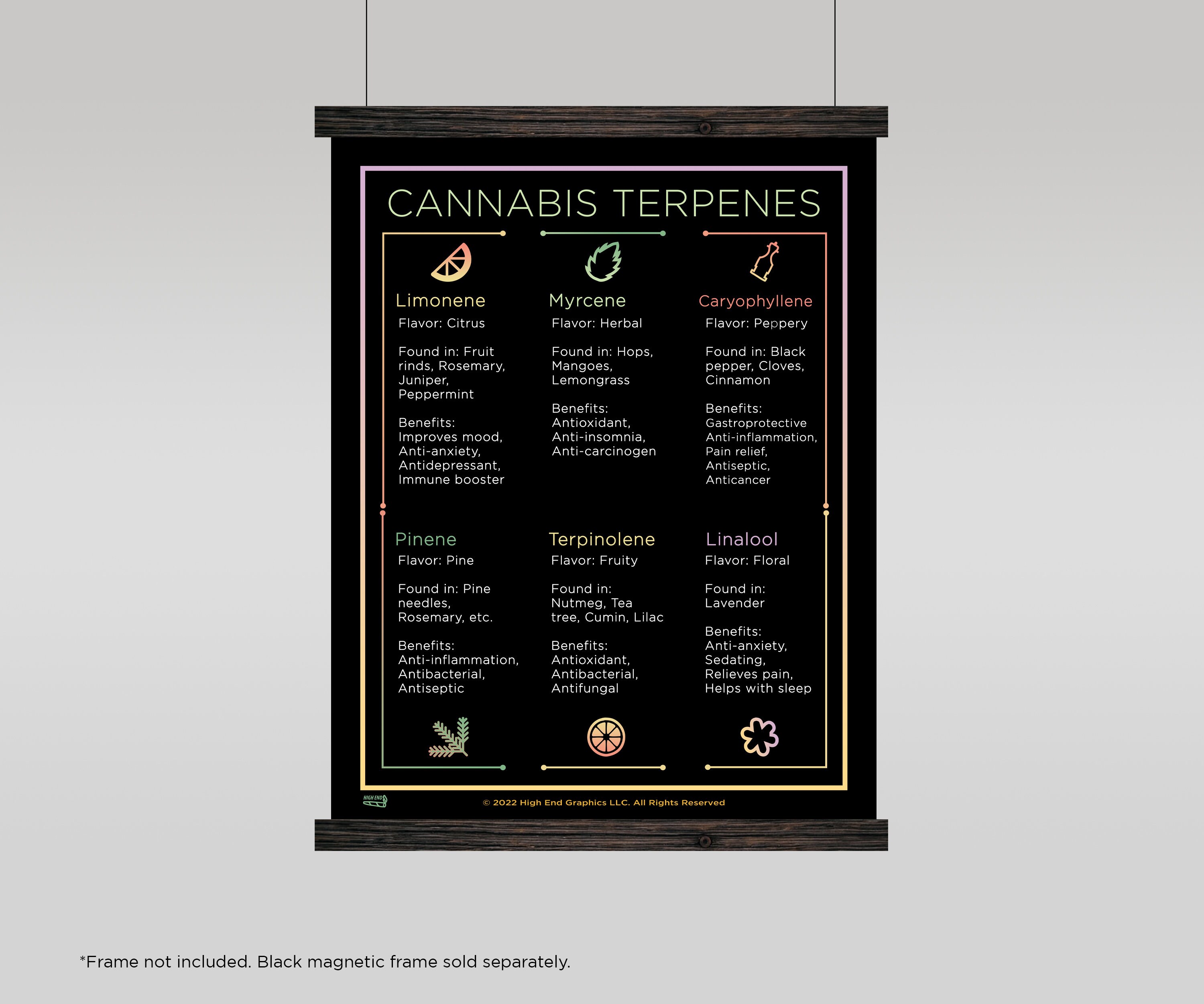 Ready to Print Downloadable Cannabis Terpenes Infographic Poster Neon ...