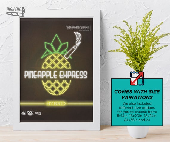 Pineapple Express 2 Poster