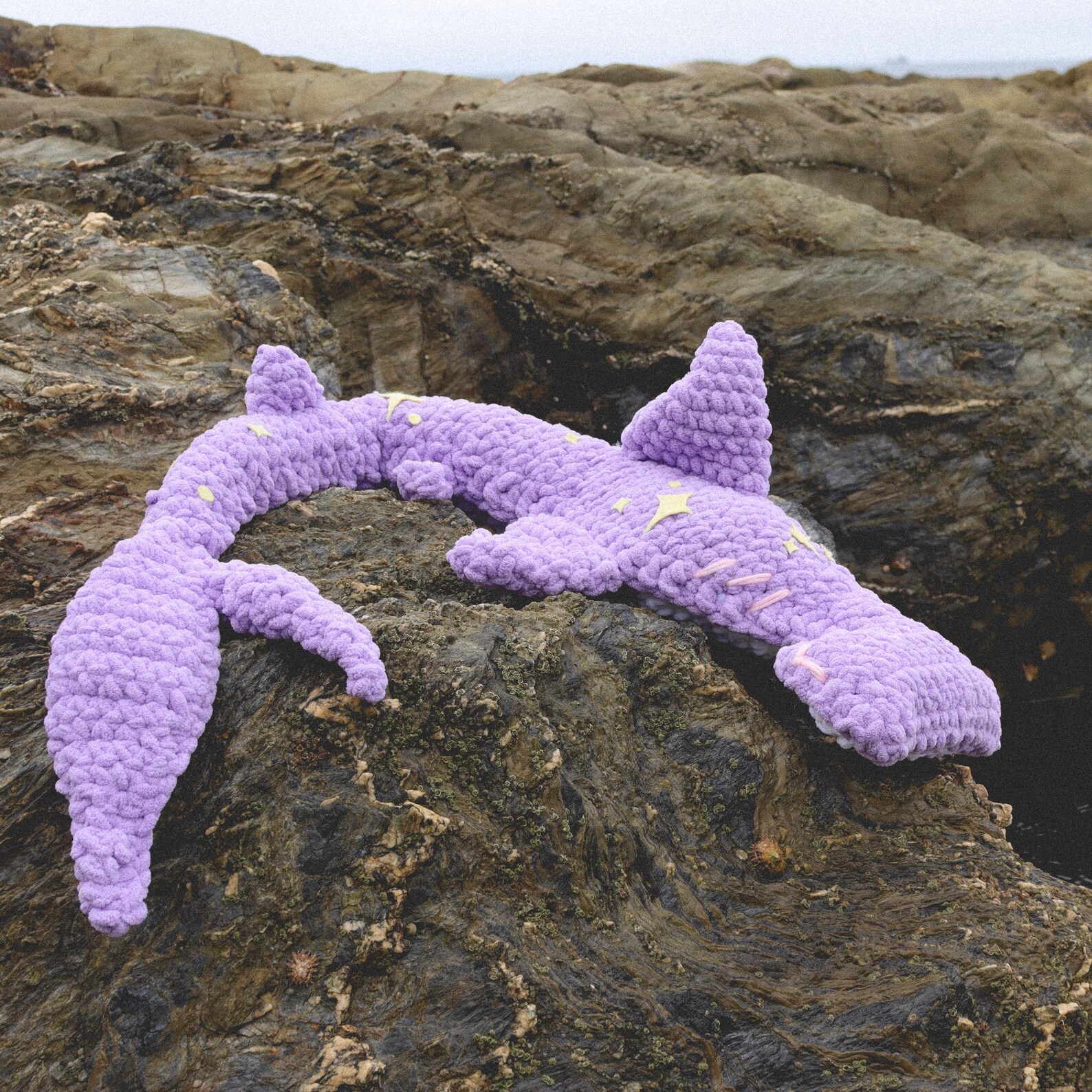 Cuddle Shark Crochet Pattern - Etsy