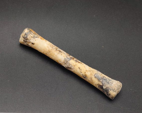 Ancient Neolithic Ice Age Fossil Bone Bead Pendant Ha… - Gem