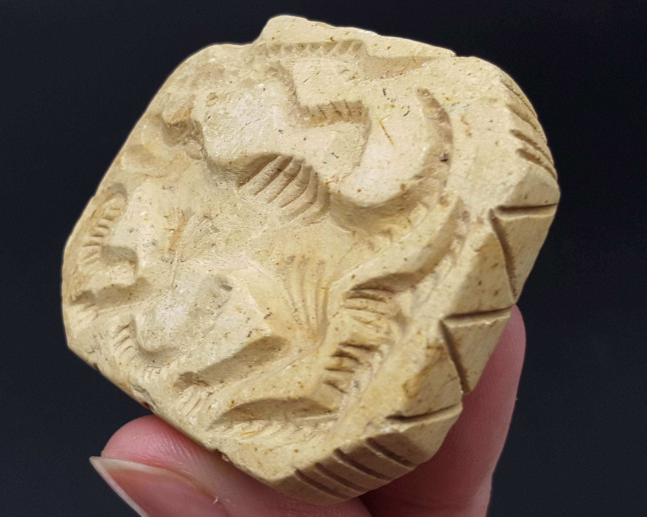 Wonderful Indus Valley Intaglio Tiger Stone Carving Seal Stamp #cp93c ...