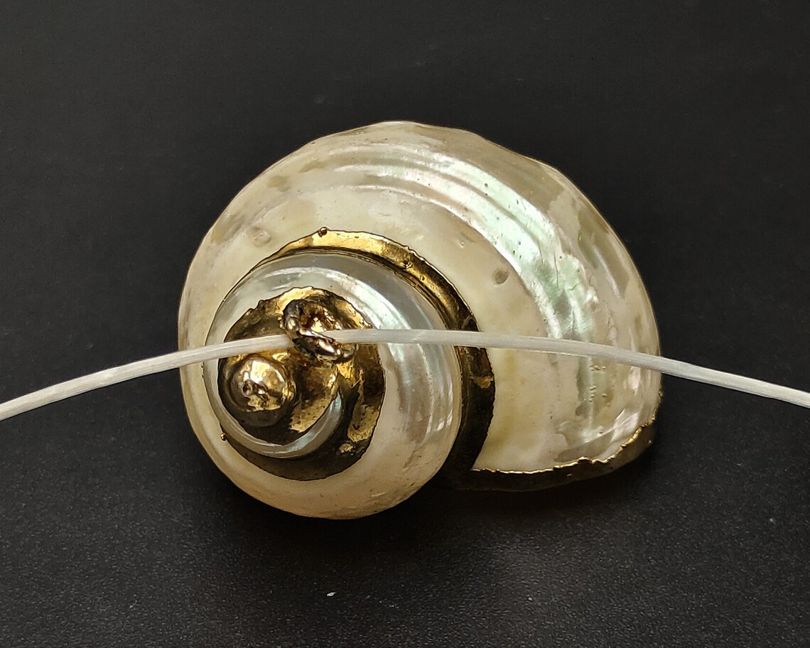 Wonderful Rare Natural Turbo Shell Conch Snail Unique Pendant C#cp468c ...