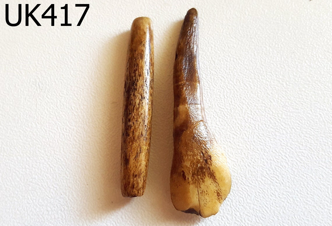 Lot 2 Rare Natural Naga Wood Hand Carved Yak Tooth Beads - Etsy